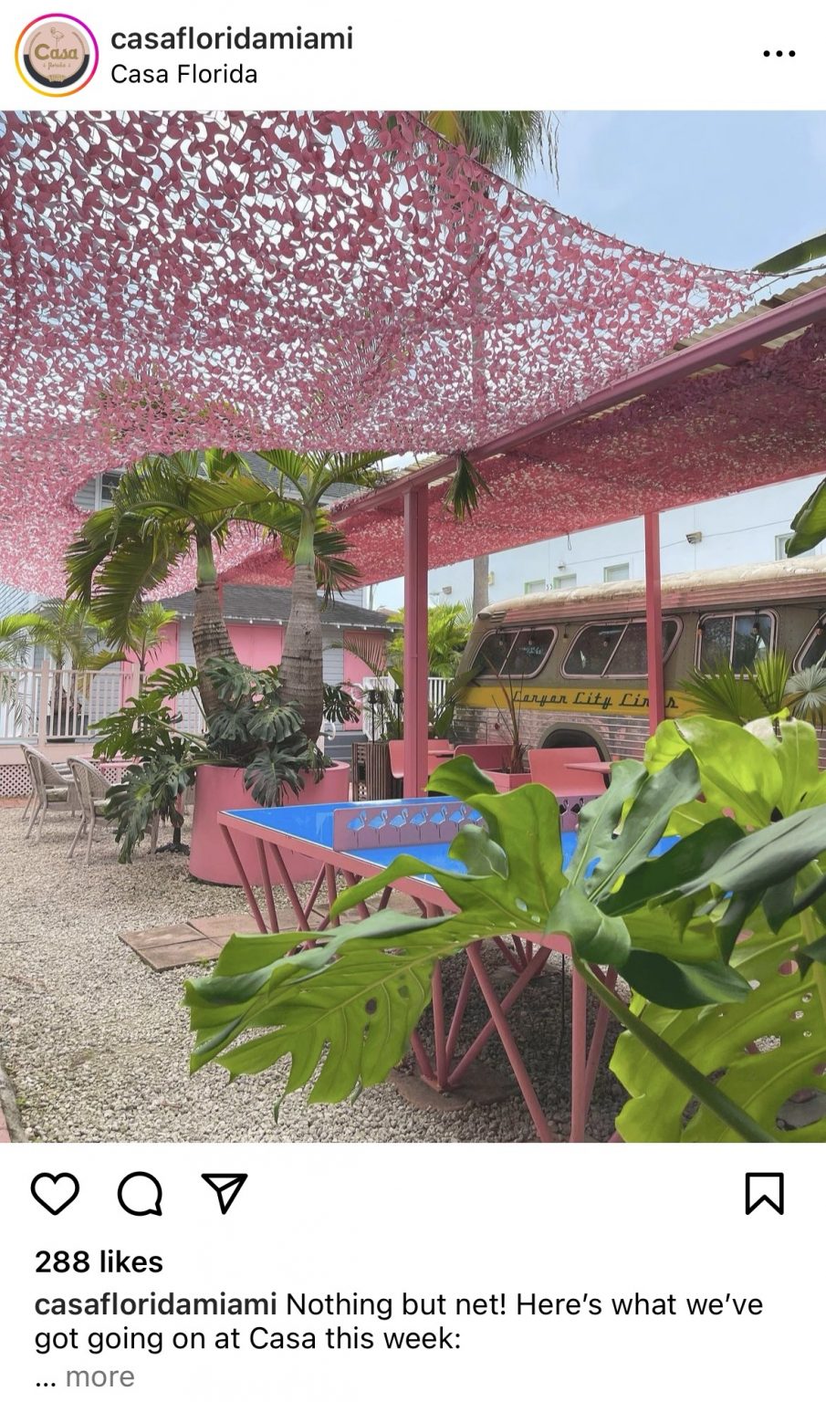 Where to take great pictures in Miami - Jet Lagged Jess